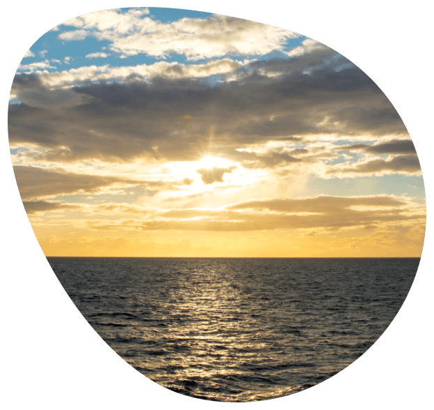 Grasshopper Virtual Phone System | Start Your Free Trial